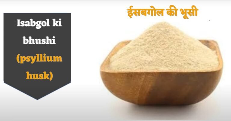 Isabgol Ki Bhusi (Psyllium Husk): 🌿6 - फायदे, कैसे करें सेवन ...