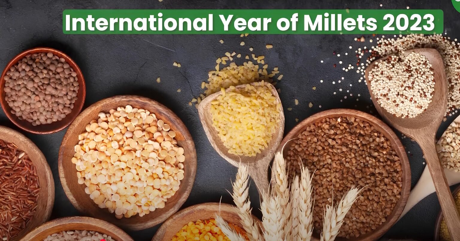 10 Benefits Of Millets – सेहत और इम्यूनिटी के लिए सुपरफूड या नहीं ...